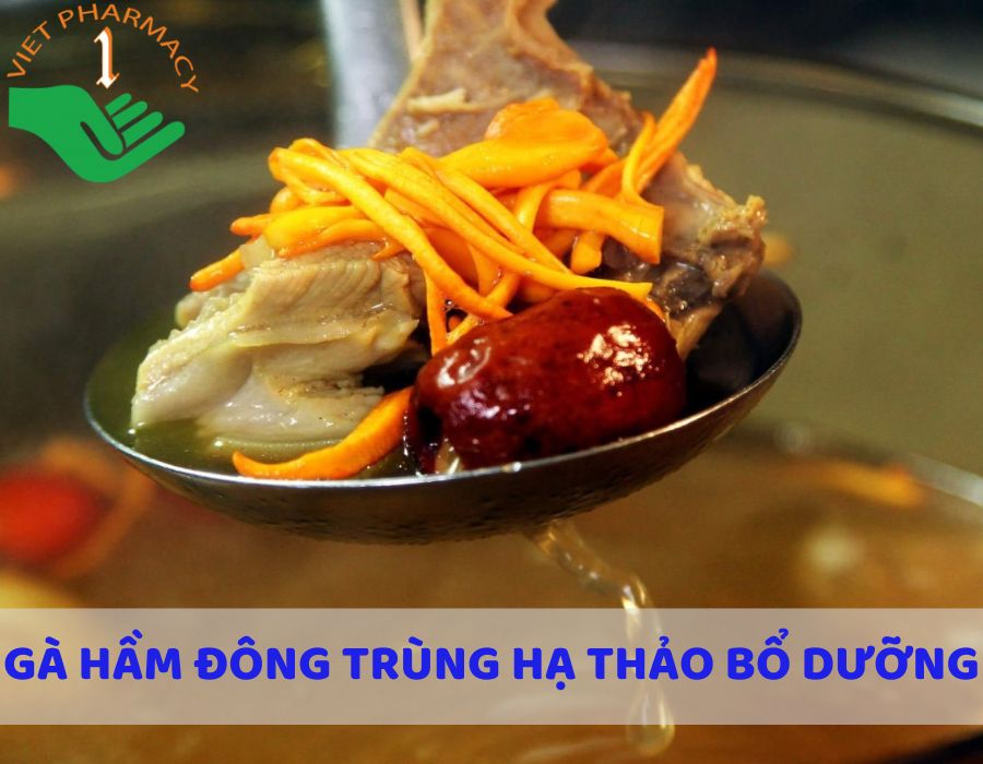 Hướng dẫn cách nấu gà hầm đông trùng hạ thảo đảm bảo dinh dưỡng