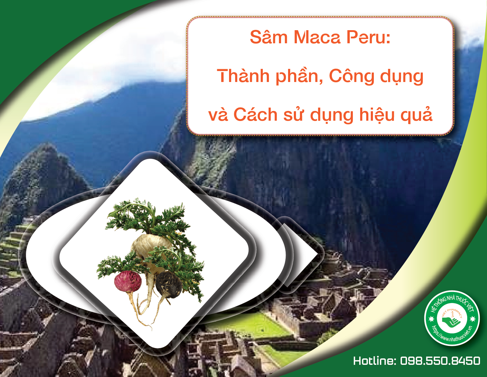 Sâm Maca Peru: Thành phần, công dụng, cách sử dụng hiệu quả