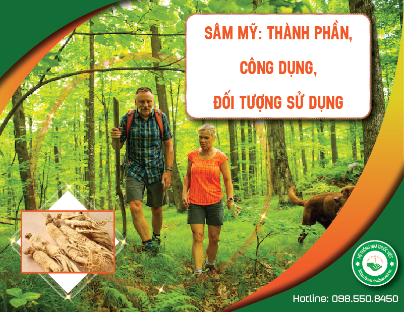 Sâm Mỹ: Thành phần, công dụng, đối tượng sử dụng