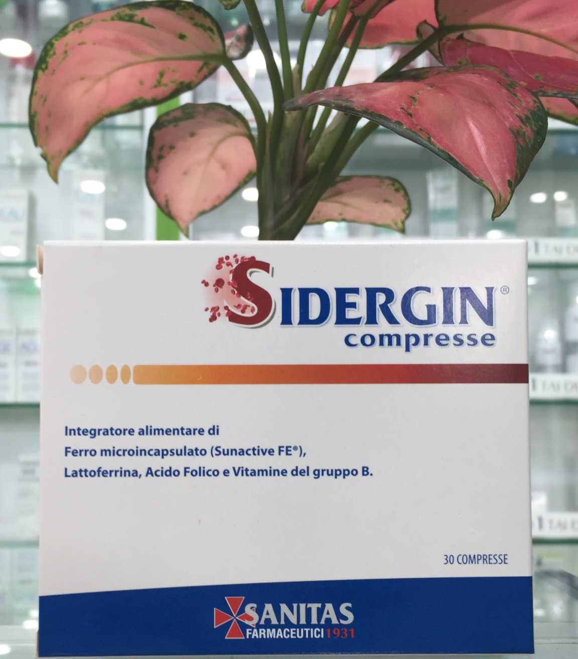 SIDERGIN® Compresse - Giúp bổ sung sắt, tăng cường sức đề kháng 30 viên